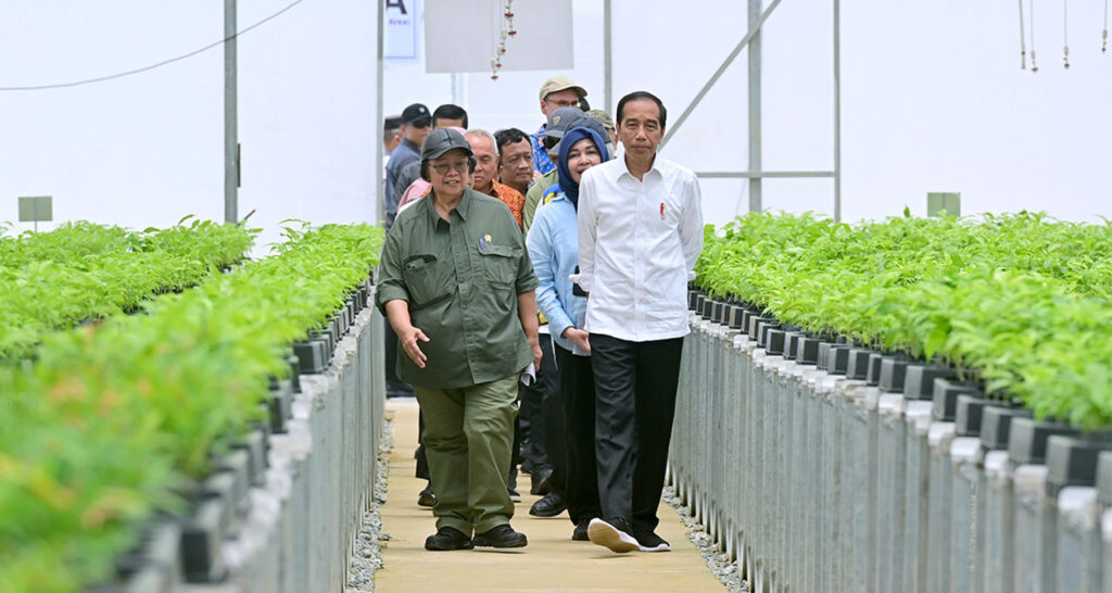 Apa Itu Persemaian Mentawir? Begini Fungsi dan Fasilitasnya!