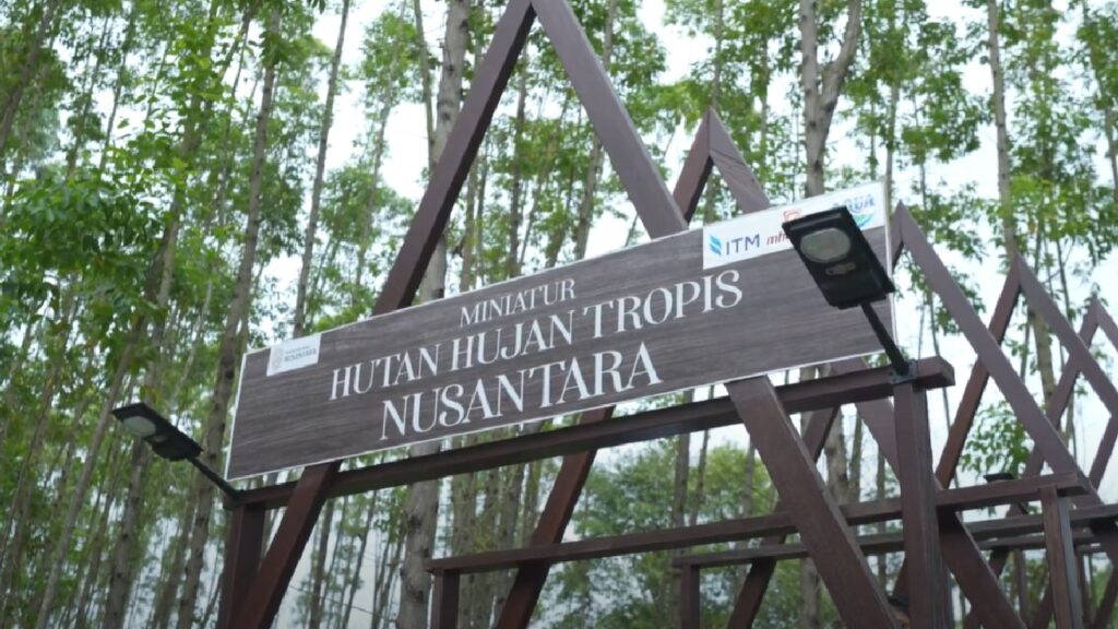 Melihat Lebih Dekat Miniatur Hutan Hujan Tropis Nusantara