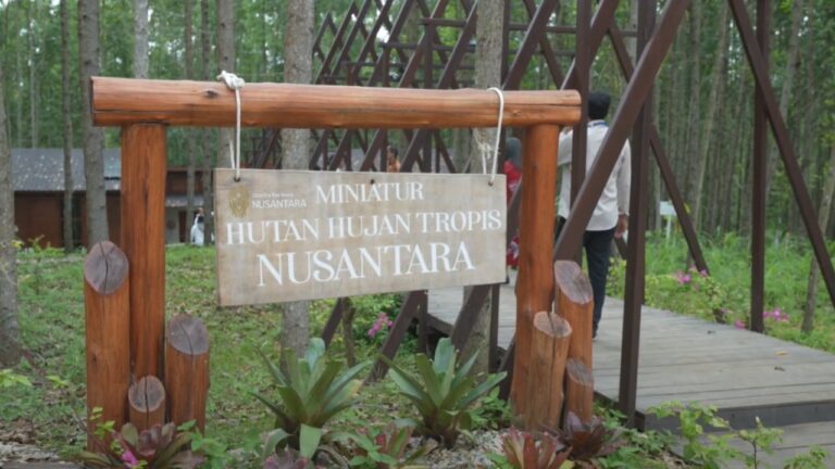 Melihat Lebih Dekat Miniatur Hutan Hujan Tropis Nusantara