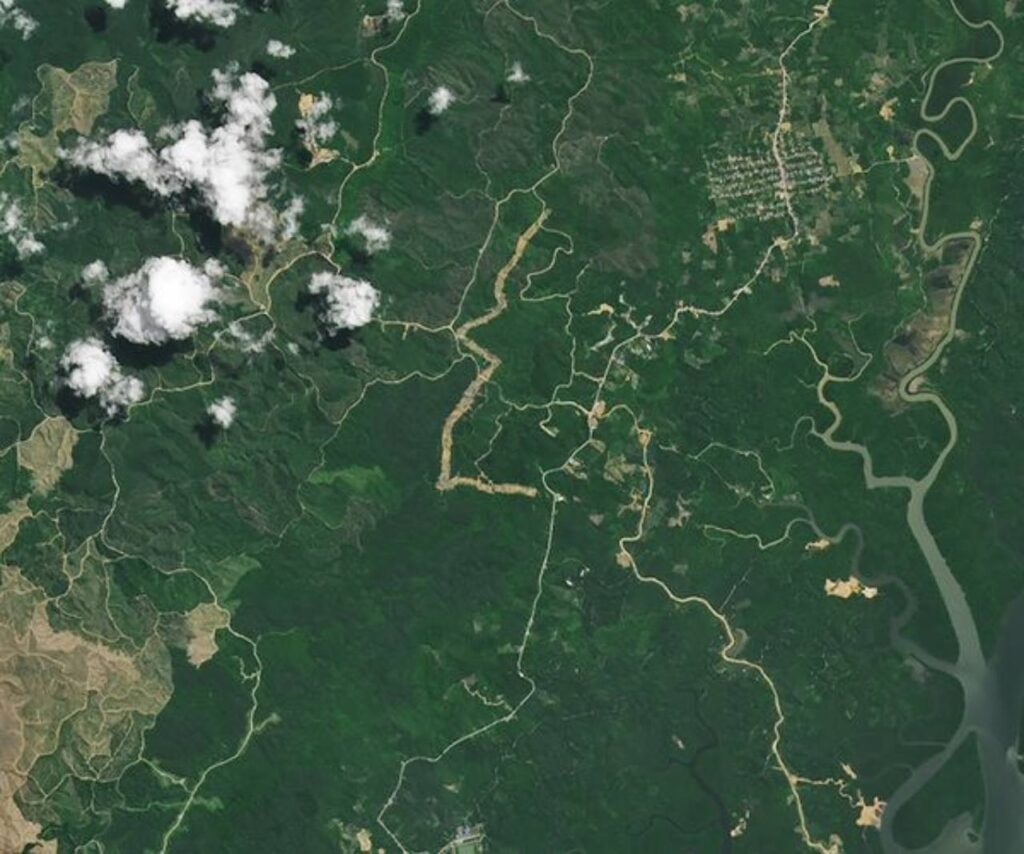 Potret Perubahan Hutan di IKN yang Direkam oleh NASA