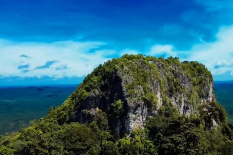 Gunung Parung IKN, Cagar Alam di Kalimantan Timur