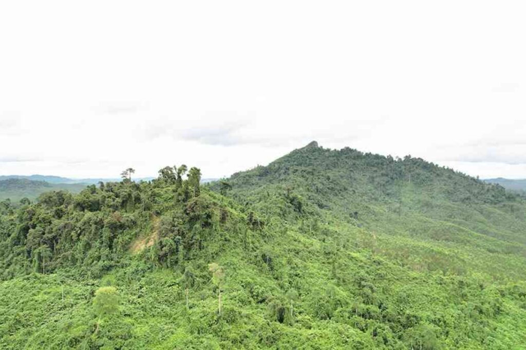 Gunung Parung IKN, Cagar Alam di Kalimantan Timur