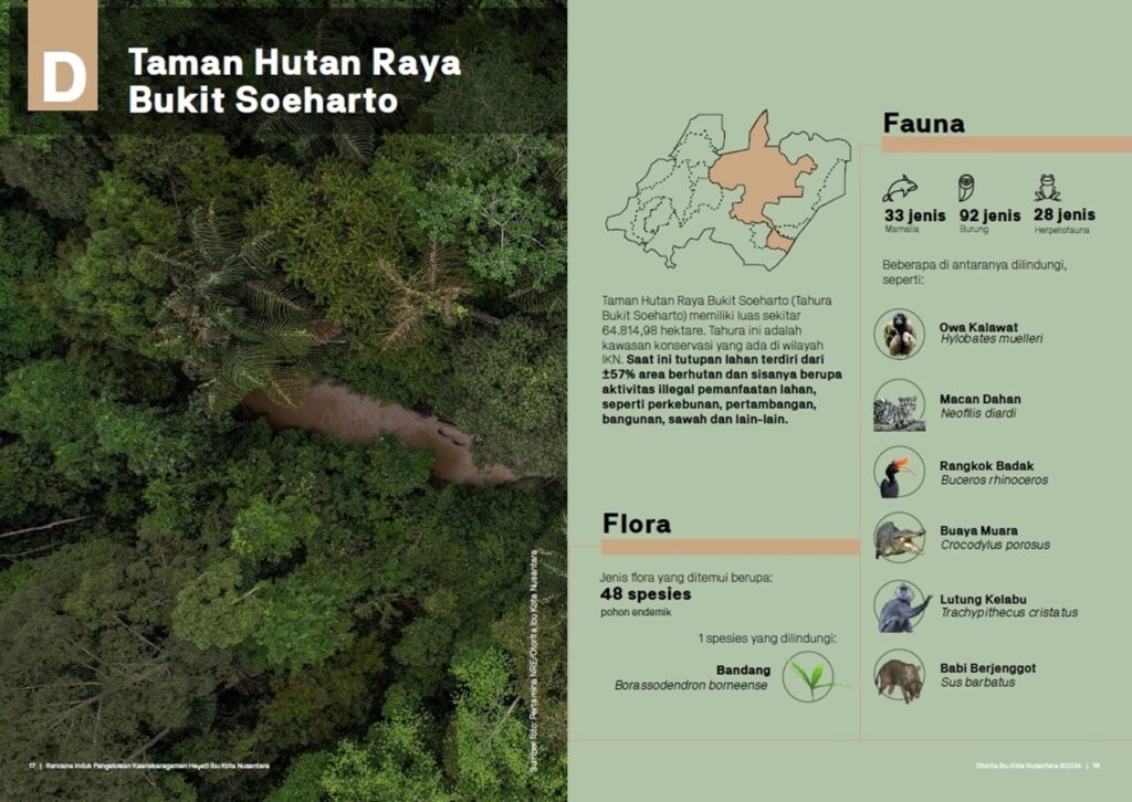 Keanekaragaman Hayati di IKN, Flora & Fauna Melimpah!