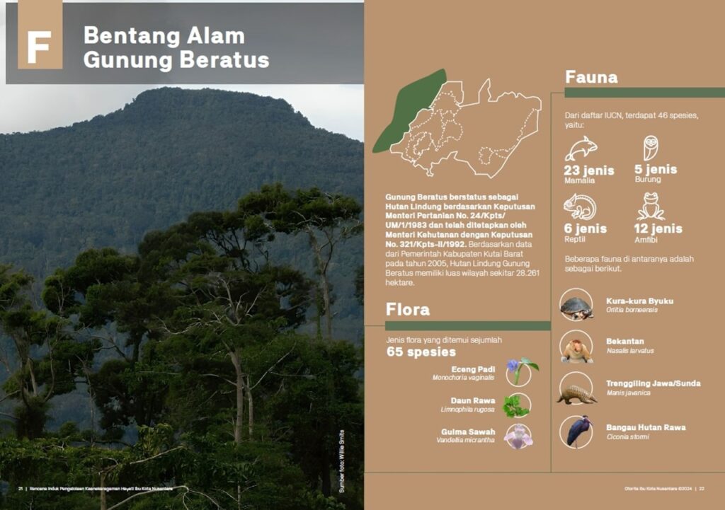 Keanekaragaman Hayati di IKN, Flora & Fauna Melimpah!