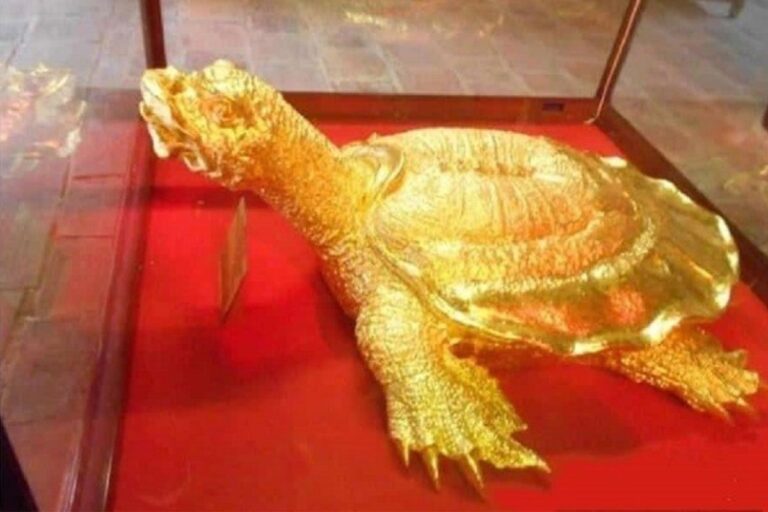 8 Peninggalan Kerajaan Kutai Kartanegara dan Penjelasannya