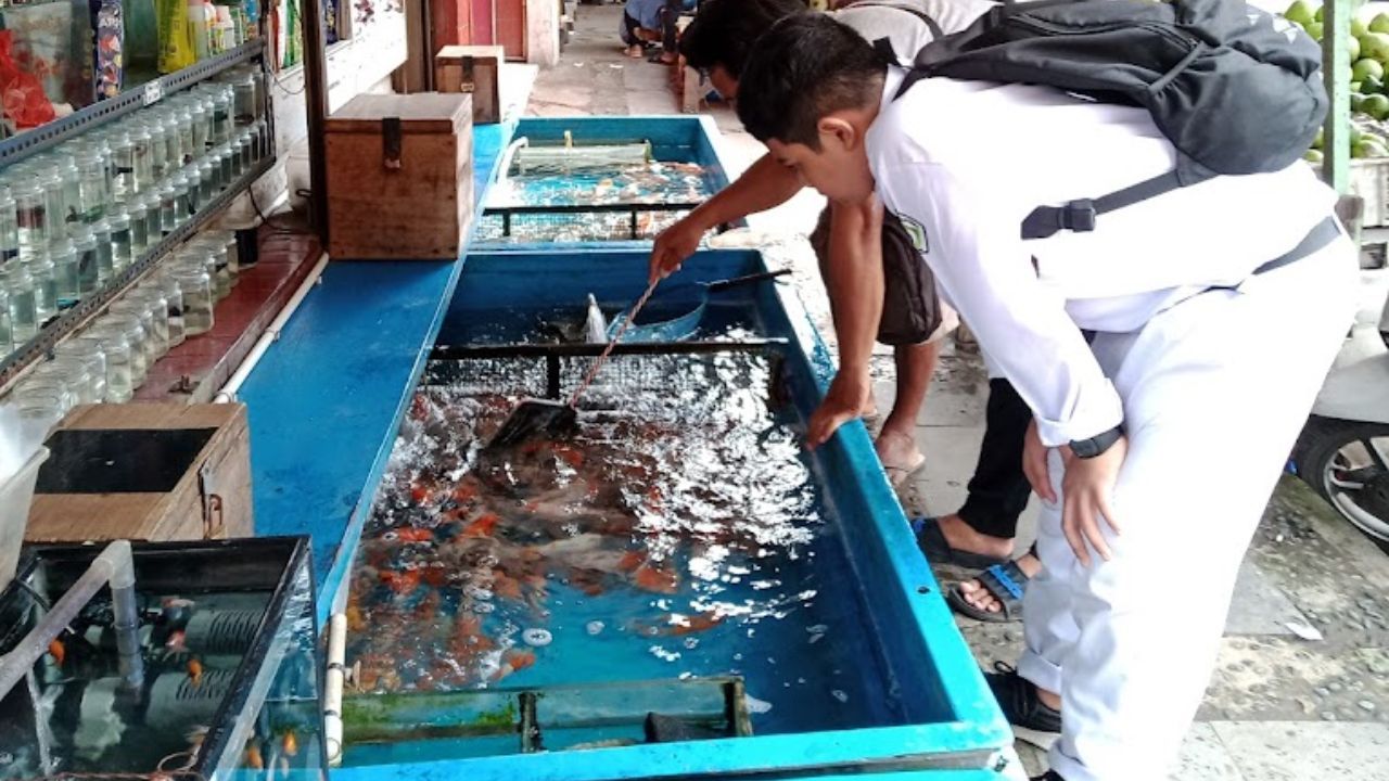 Mengenal Pasar Kanoman Cirebon: Kuliner Khas, Ikan Hias hingga Batik