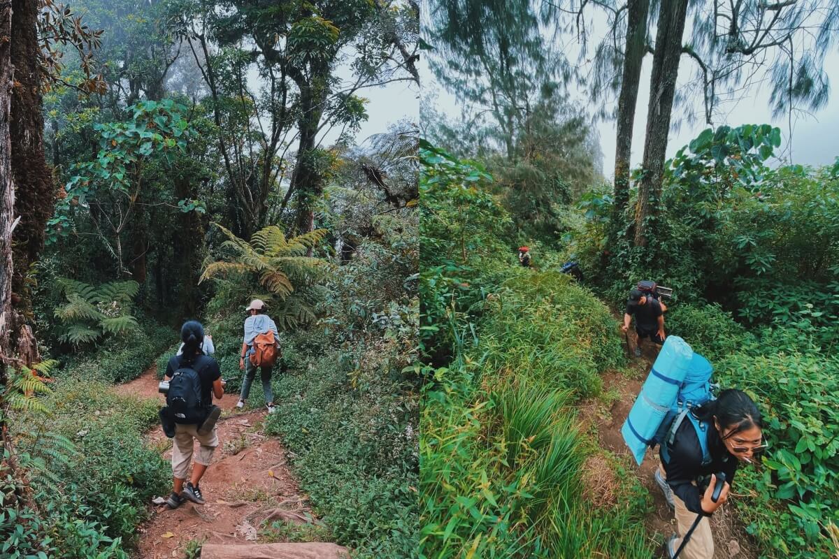 Lokasi, Jalur Pendakian, dan Daya Tarik Gunung Tapak