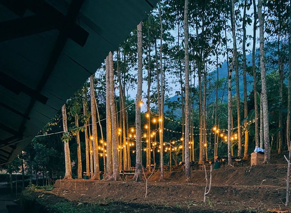 Pilihan Wisata Trawas yang Wajib Dikunjungi, Refreshing!