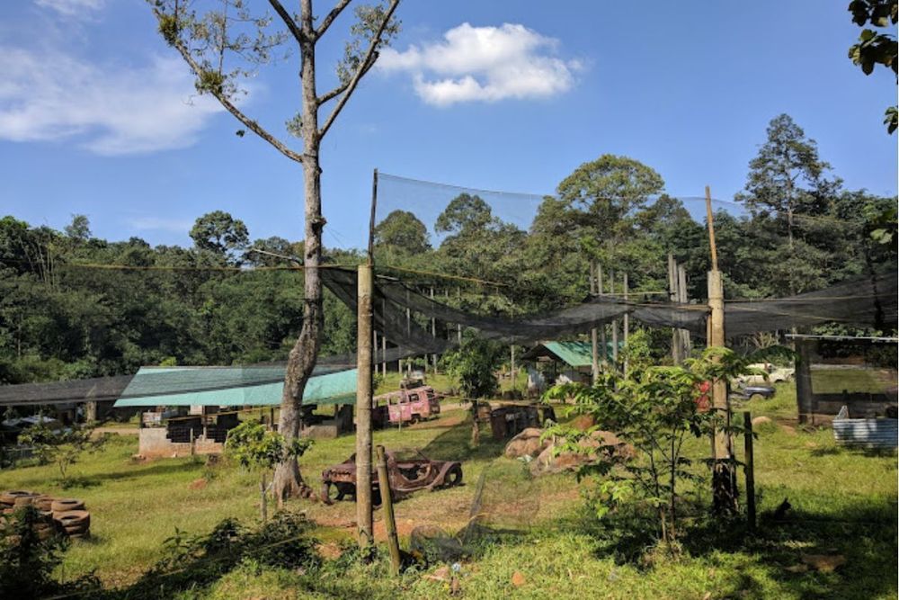 Melihat Lebih dari 50 Ribu Koleksi di Museum Ronggowarsito