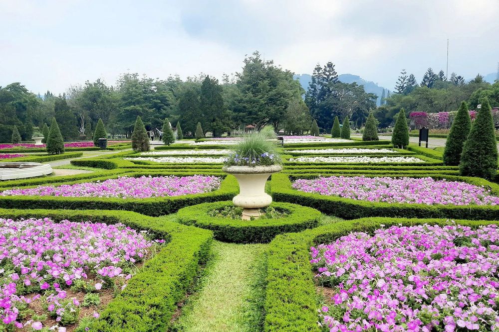 6 Rekomendasi Tempat Wisata di Puncak Paling Hits