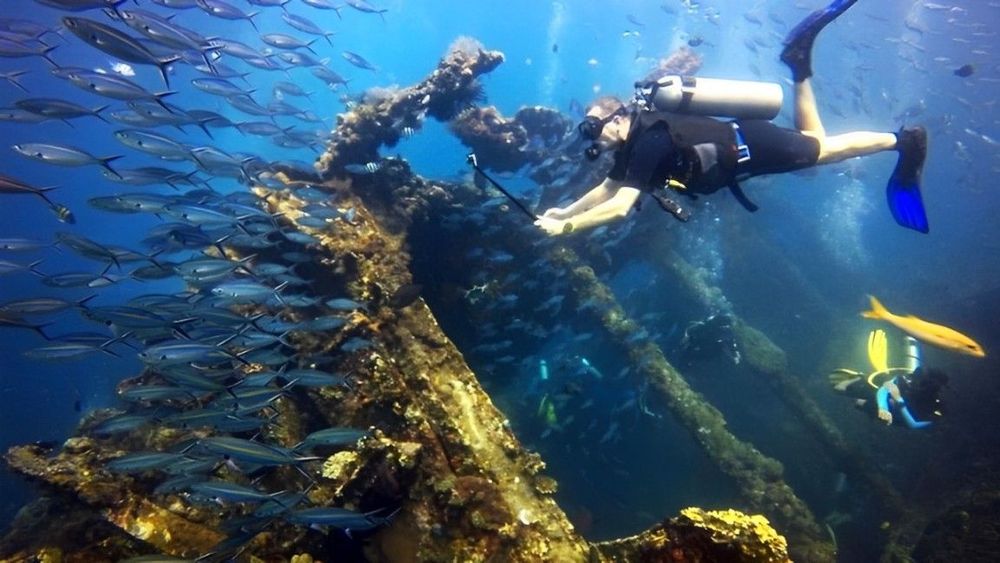 5 Tempat Diving di Bali Paling Populer, Jelajahi Pesona Bawah Laut yang ...